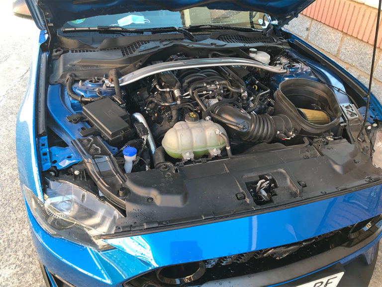 Ford Mustang Mach 1 te transporta a otra dimensión en la carretera